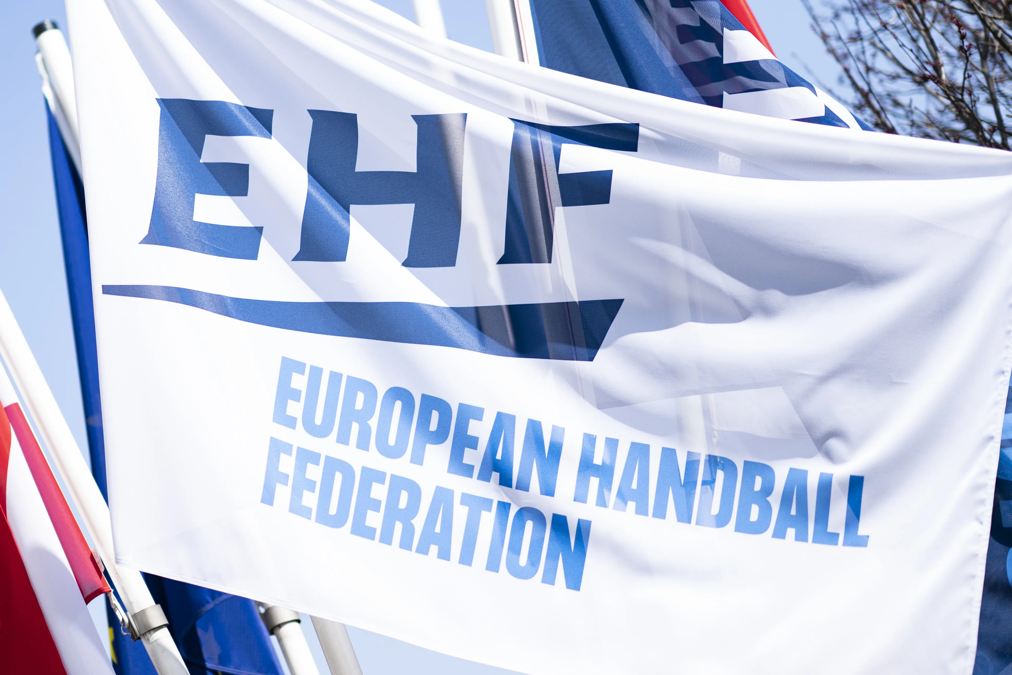 Court of Handball reaches first decision in Alkaloid vs AEK case
